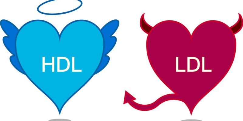 Chỉ số HDL cholesterol trong máu giảm có ý nghĩa gì? | Vinmec