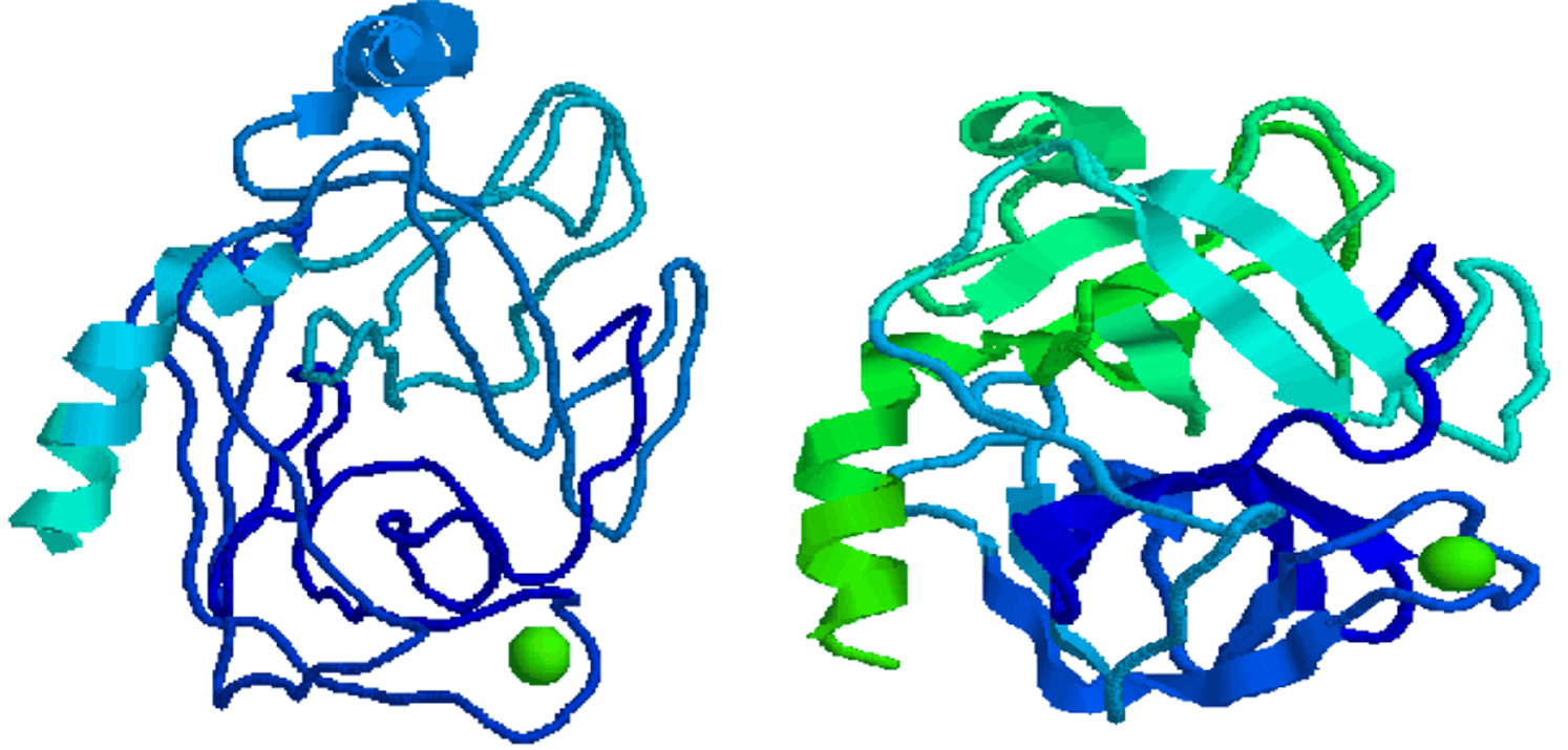 Enzyme Trypsin: Những điều cần biết | Vinmec