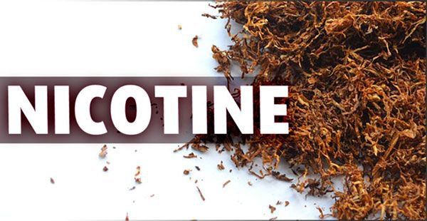 Nicotine là chất gì và vì sao có thể gây nghiện mạnh? | Vinmec