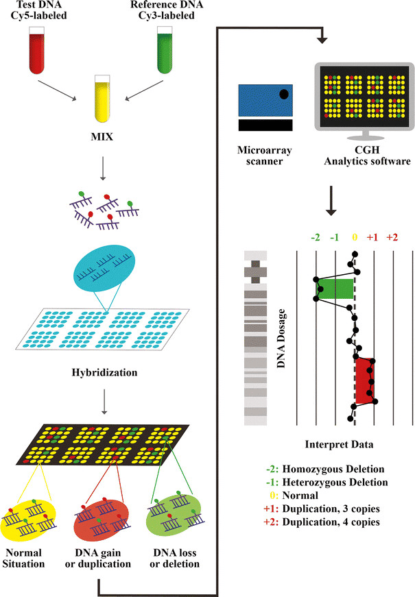 Kỹ thuật Microarray được ứng dụng thế nào trong chẩn đoán? | Vinmec