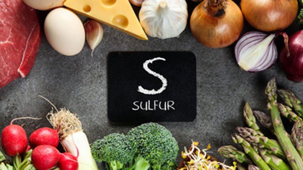 What you should know about sulfur-rich foods | Vinmec
