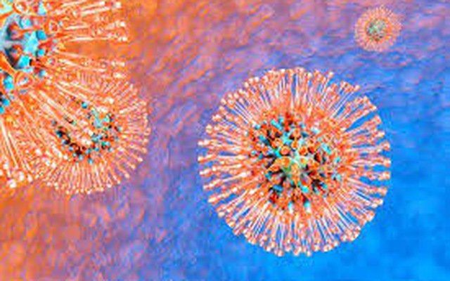 Herpes simplex virus type 1 và type 2 | Vinmec