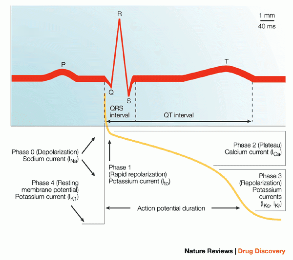 Cập nhật hội chứng QT dài bẩm sinh | Vinmec