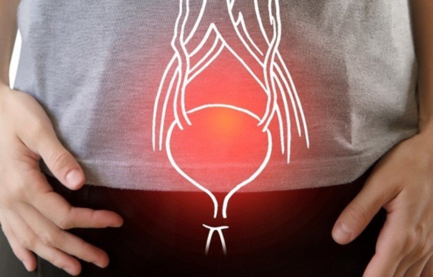 Average Bladder Size in Humans by Age | Vinmec