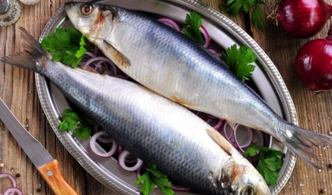 Should you eat raw herring? | Vinmec