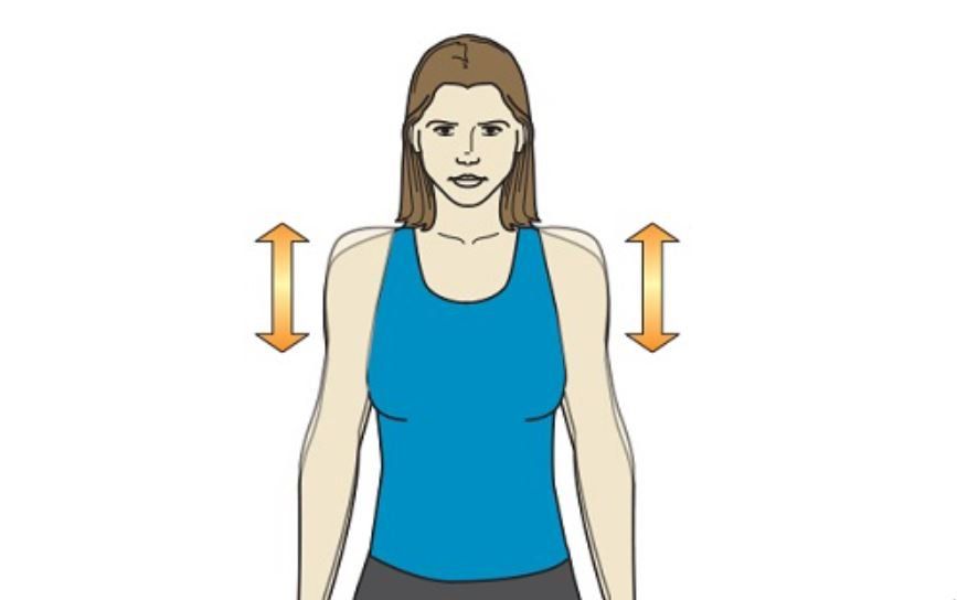 SHRUGGING EXERCISES: ACTIVATED MUSCLES, BENEFITS, AND HOW TO PERFORM ...