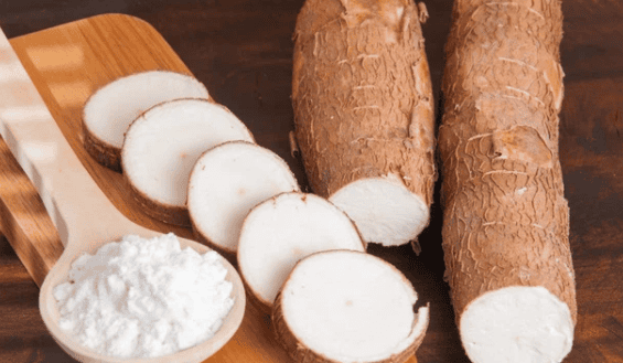 Warning of cassava poisoning | Vinmec
