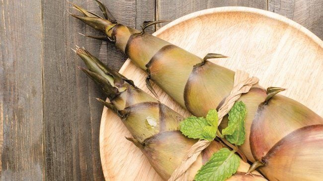 Có nên ăn măng khi mang thai? | Vinmec