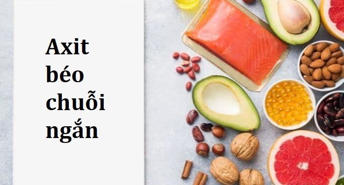 Acid béo chuỗi ngắn là gì? Tính chất và vai trò | Vinmec