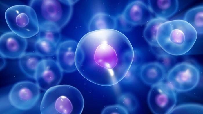 Are atypical cells cancerous? | Vinmec