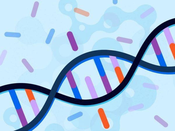 What Are Genetic Factors or Genes? | Vinmec