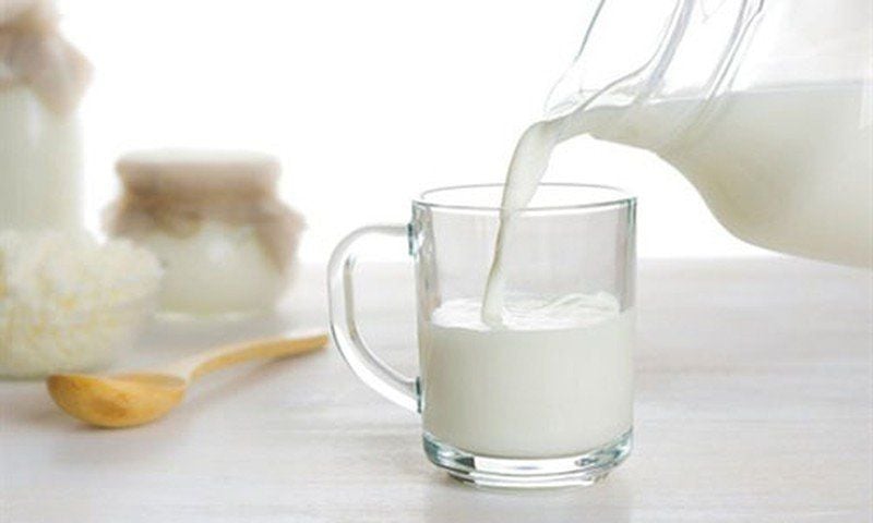 How does milk digestion take place? | Vinmec