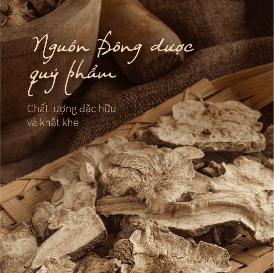 Tiêu chuẩn thực sự tạo nên nguồn Đông Dược quý phẩm | Vinmec
