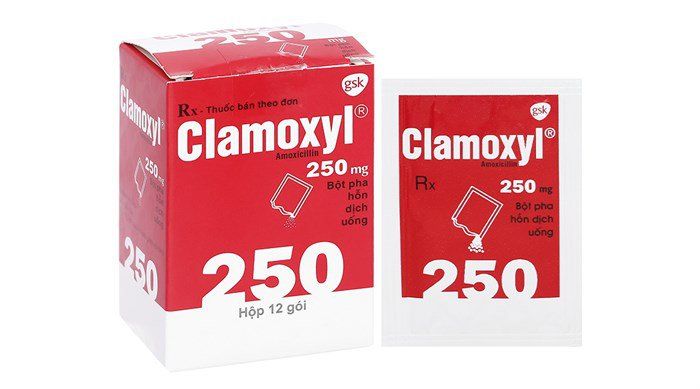 Uses of Clamoxyl 250mg | Vinmec