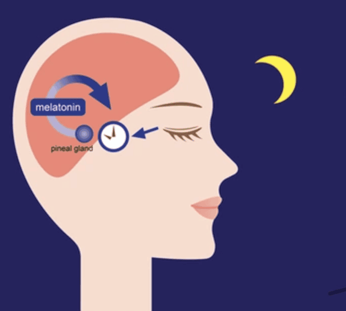Melatonin và những giấc mơ kỳ lạ, sống động | Vinmec