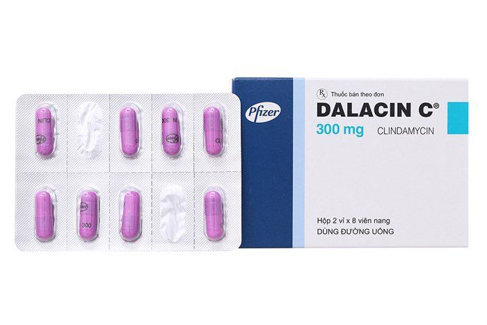 Therapeutic Uses of Dalacin C | Vinmec