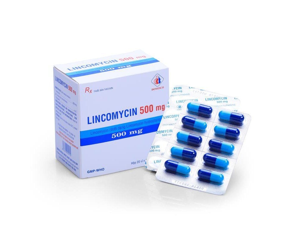 Công dụng thuốc Lincomycin 500mg | Vinmec