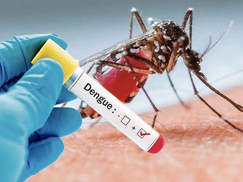 How to Interpret Blood Test Results for Dengue Fever | Vinmec
