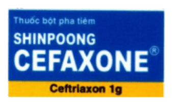 Shinpoog Cefaxone medicine