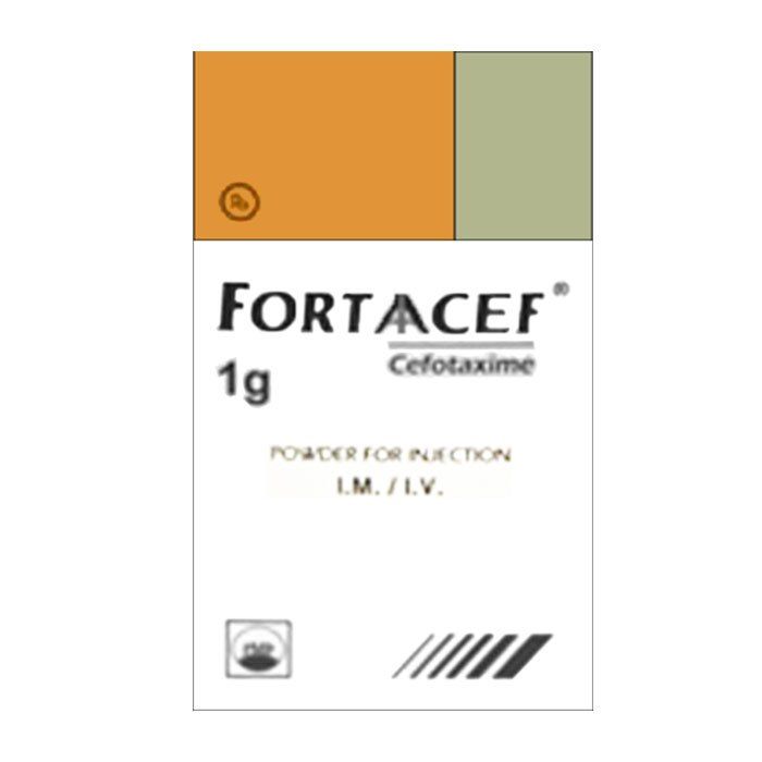 Công dụng thuốc Fortaacef 1g | Vinmec