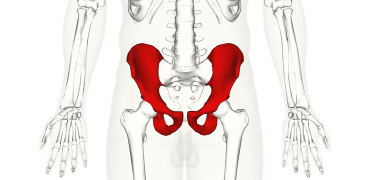 Musculoskeletal MRI: Definition, Indications, and Advantages | Vinmec
